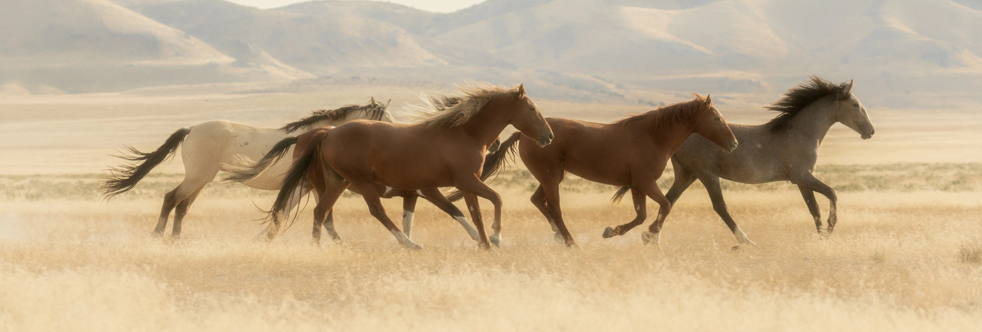 Contact Us • Book Your Stay Today | Range Valley Ranch